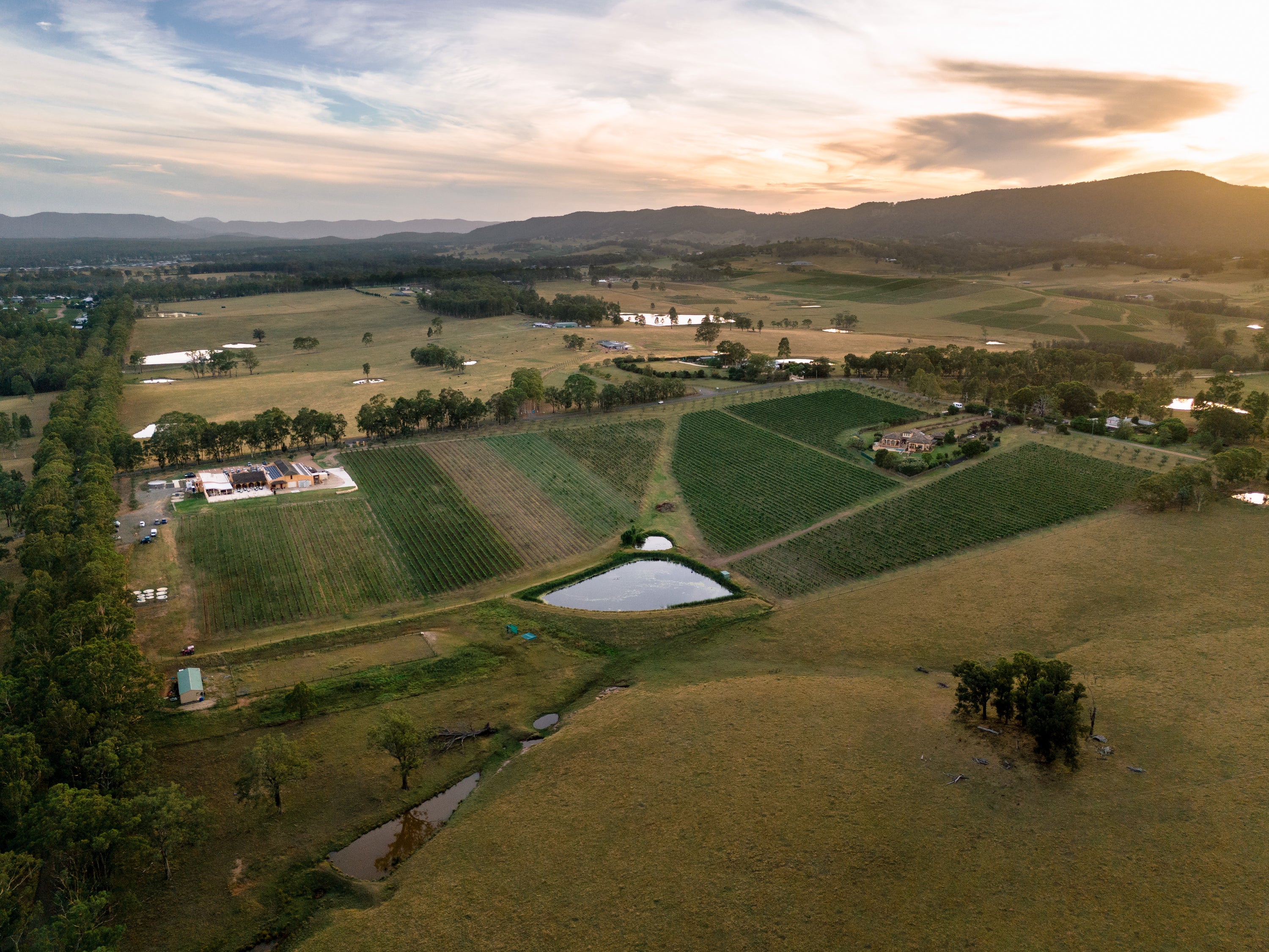 Boutique Winery Hunter Valley - Iron Gate Estate